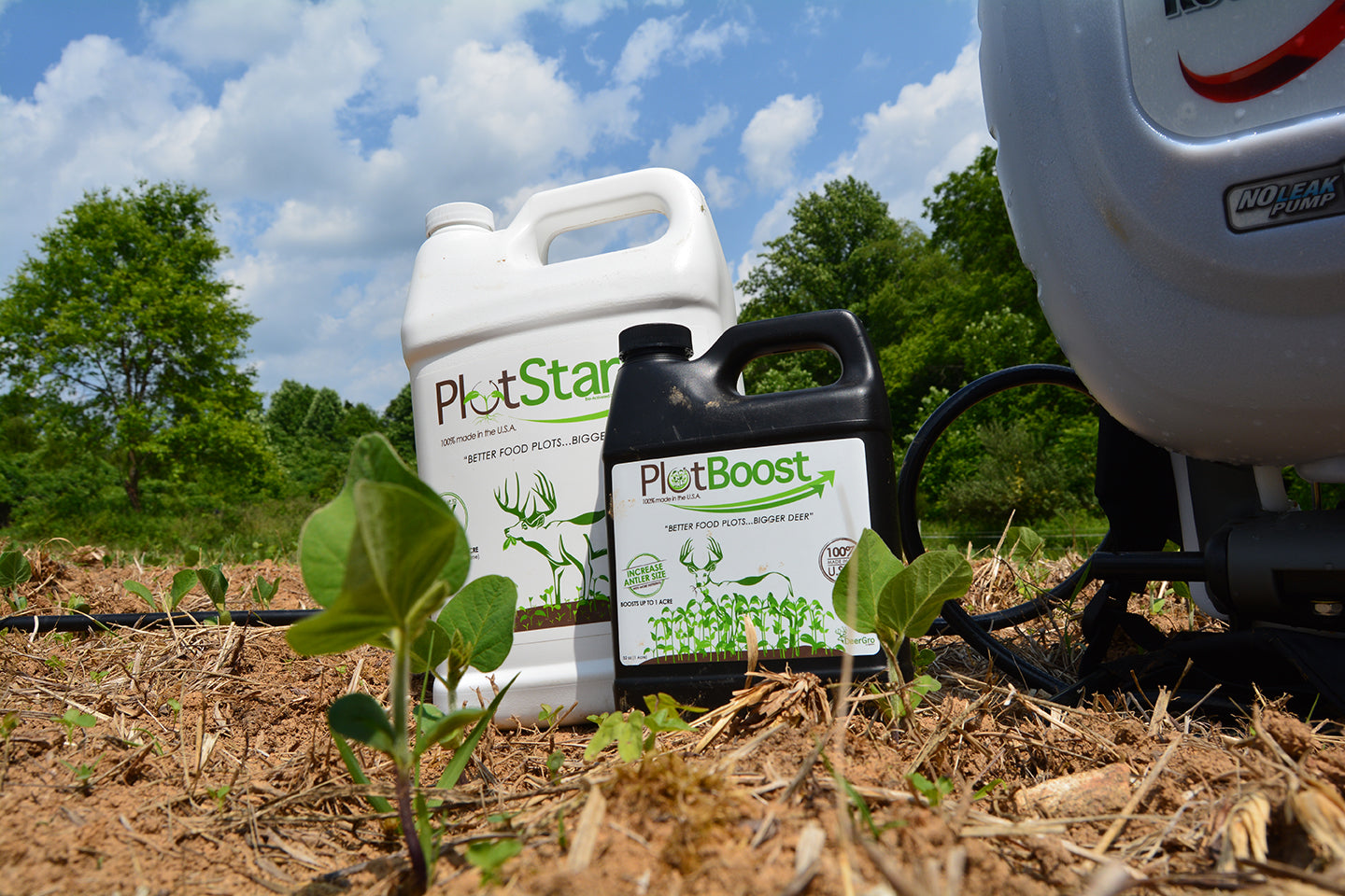 Spring and Summer Food Plots | Clover, Soybean, and Corn Food Plots ...