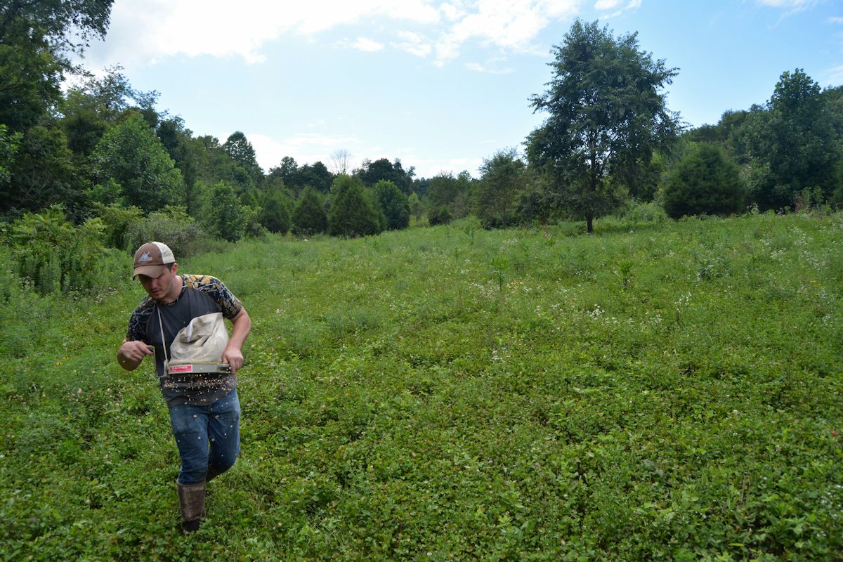Fall Food Plots | What to Plant and How to Plant Hunting Plots - DeerGro