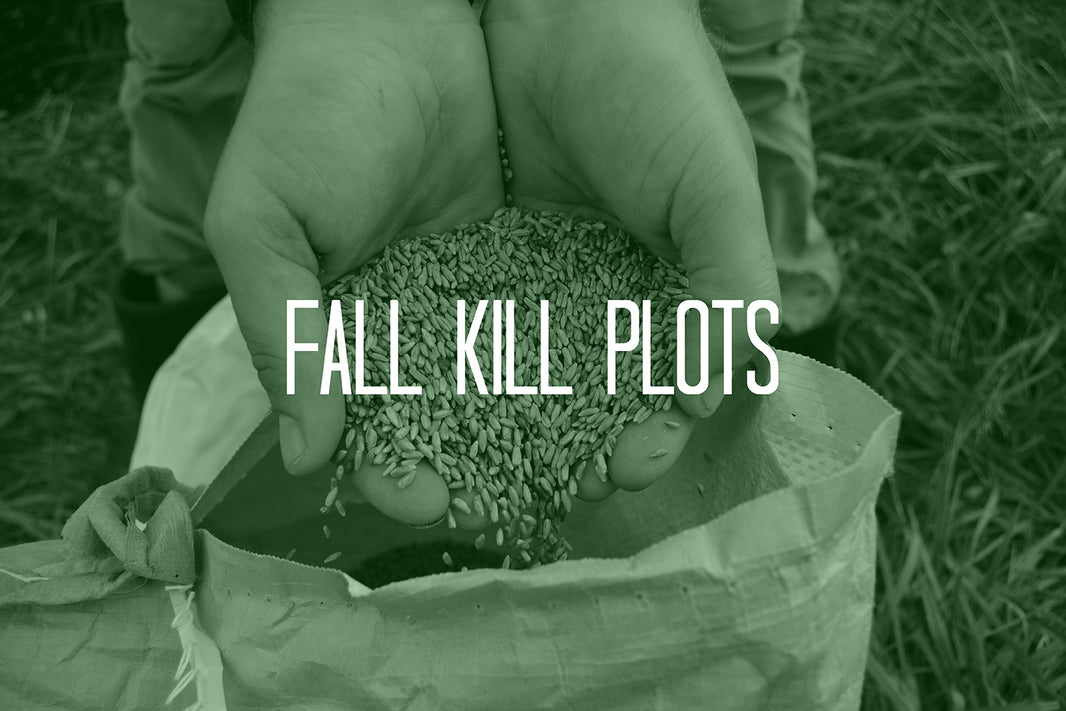 Effective Fall Kill Plot Strategies for Bigger Deer and Better Food ...